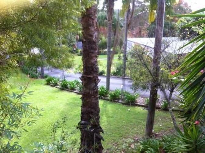 Gosford Inn Motel - Central Coast