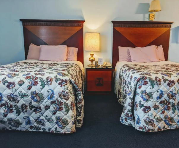 Executive Inn Thomson - Savanna