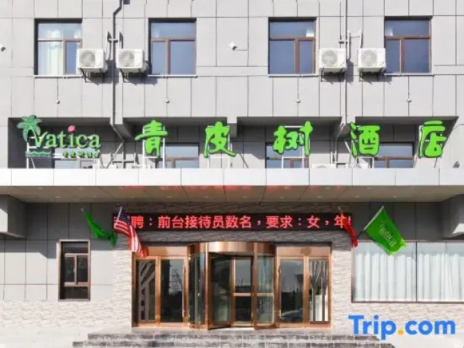 Vatica Hotel - 