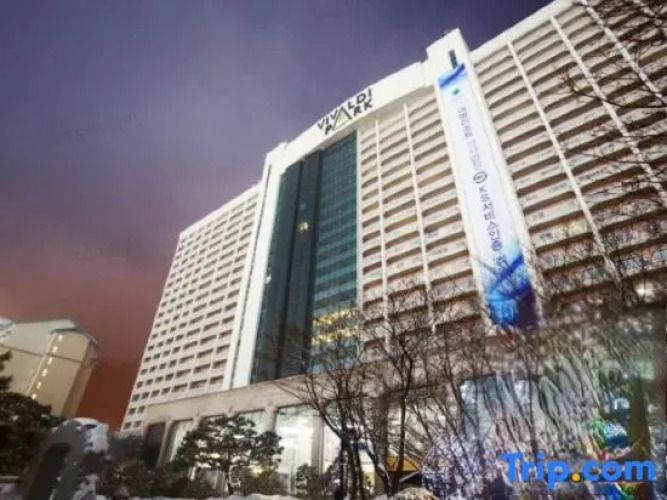 Sono Pet Clubs & Resorts Vivaldipark - 괴산군