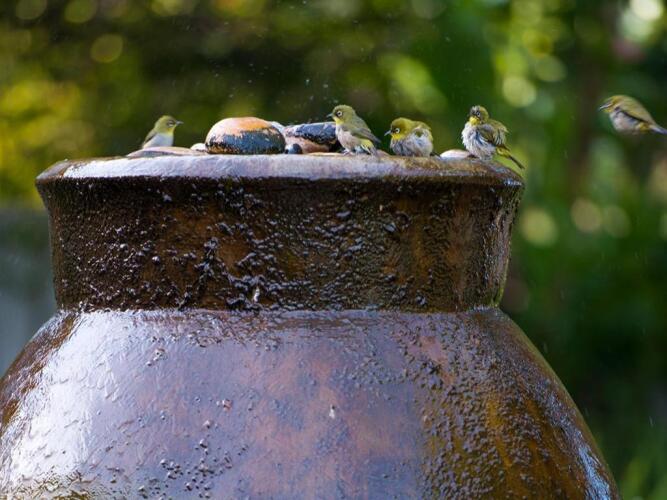 Beulah Lodge - Cape Town