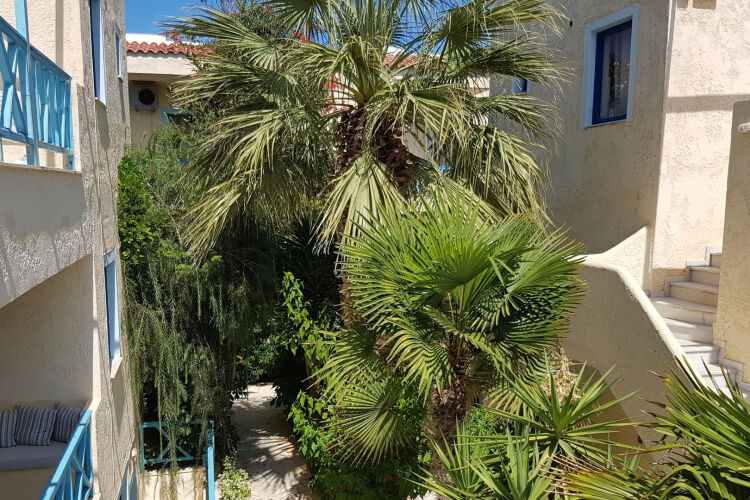 Galazio Beach Resort - Crete