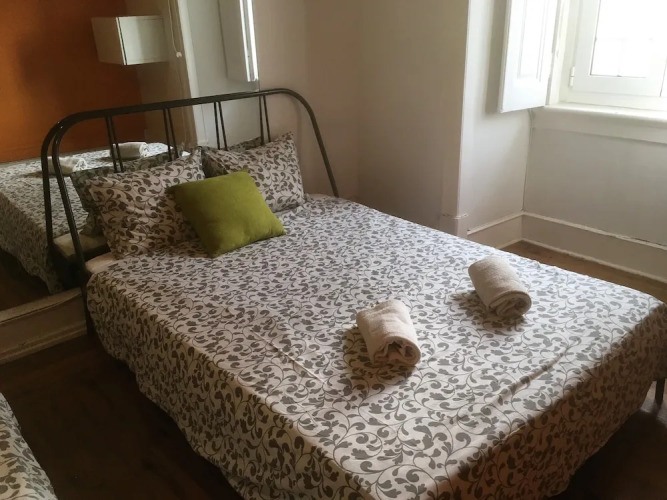 Lisbon Garden Flower - Lisbon