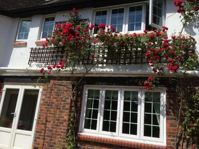 Hazelwick - East Sussex