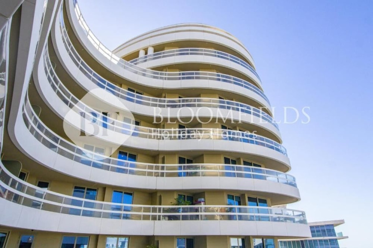 Bloomfields Supreme 2 Br Ajwan Soul - Abou Dabi