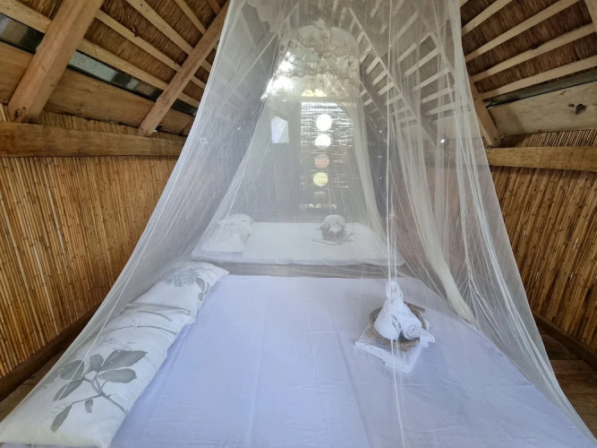 Zen Tierras Farm Powered By Cocotel - Dingalan