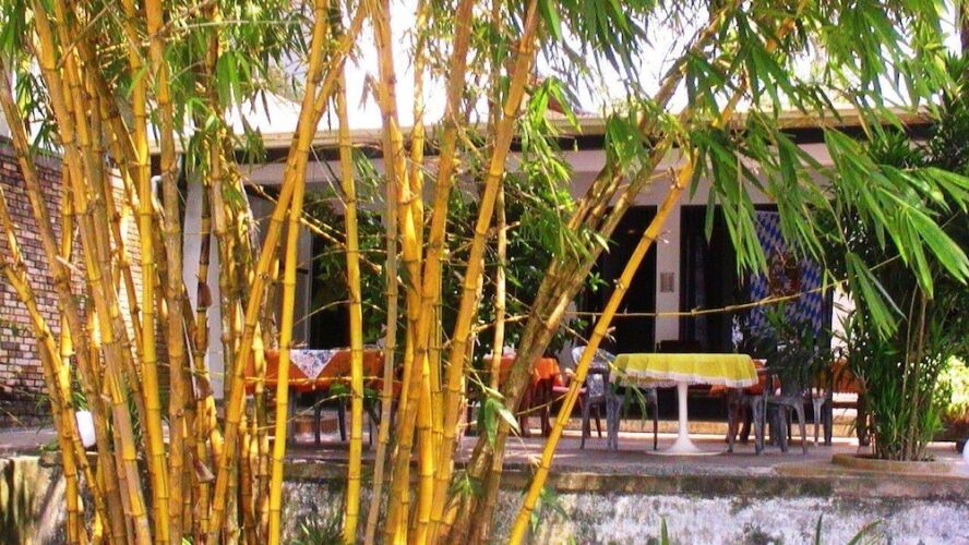 German Lanka - Bentota