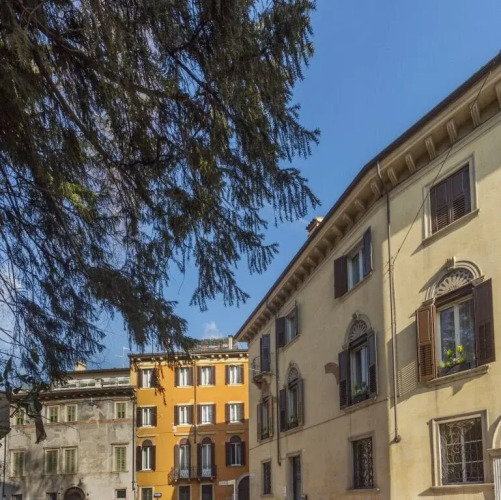 Butterfly Verona - Verona