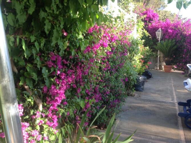 B&b La Guardia - Anacapri