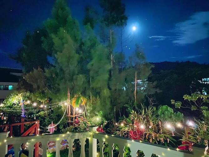 Okinawa Starry Forest Cottage - Okinawa Prefecture, Japan