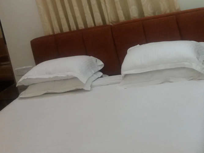 Hotel Siroy Lily - 구와하티