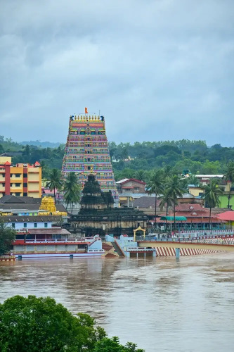 Temple View Homestay - Sringeri