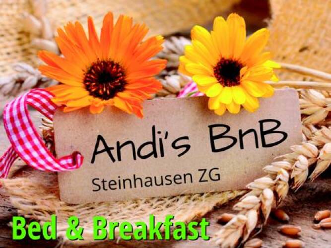 Andi's Bnb - Zug