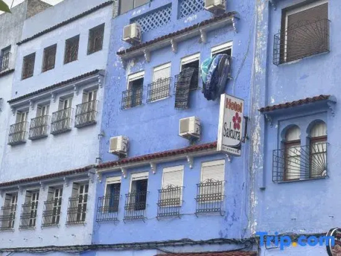 Hotel Sakura - Chefchaouen