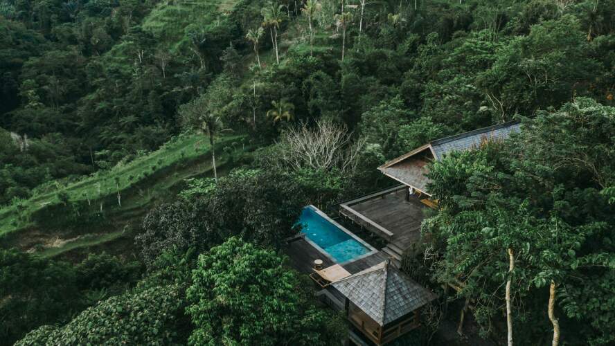 Buahan, A Banyan Tree Escape - Kintamani