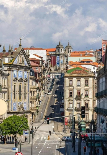 Olive Nature - Oporto
