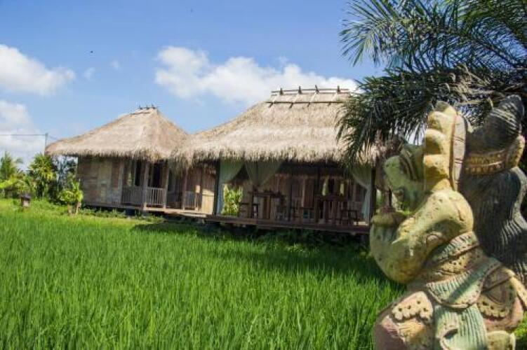 De Klumpu Bali – Eco Tradi Stay - Bali