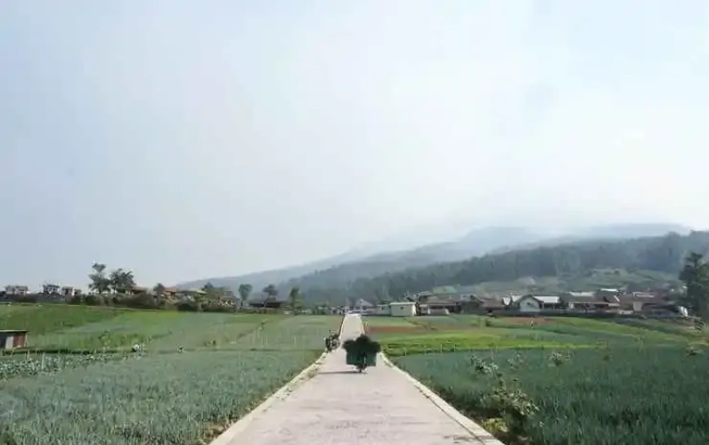 Hortus Inn Tawangmangu - Tawangmangu