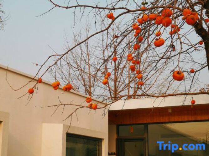 Yi Yun Homestay - Pékin