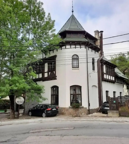 Chateau Sinaia - Sinaia