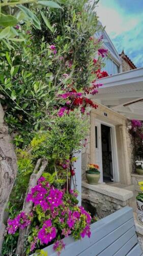 Alaçatı Molino Hotel - Alaçatı