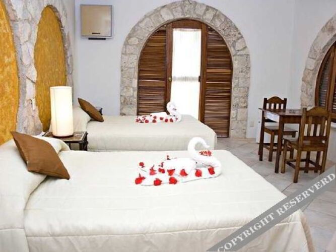 El Tukan - El Tukan & Beach Club / Nina / Moongate - Playa del Carmen