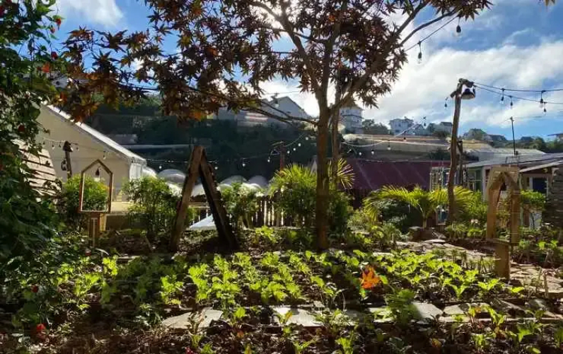 The Burrow Dalat - Thành phố Đà Lạt