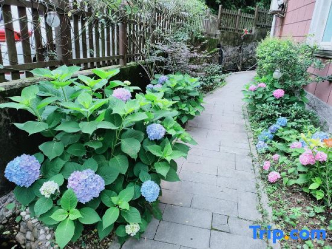 Xiangshi Hostel - Ningbo