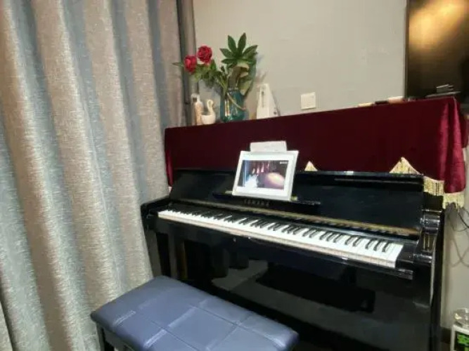 Yunlu Music Homestay (Zhujiajiao Scenic Area) - Shanghai