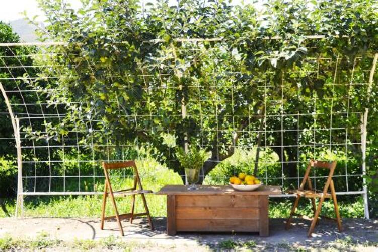 Luna & Limoni Country - Sardaigne