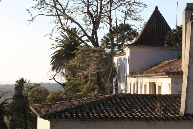 Quinta De São Thiago - Sintra