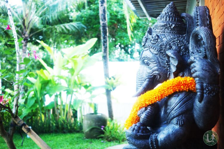 Ubud Tropical - Hostel - Ubud