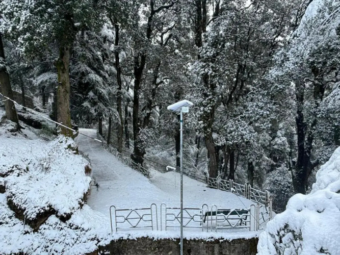 Jakhu Heights - Shimla