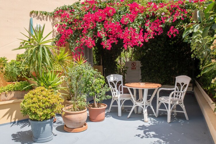 Alper Apartments - Palma Nova