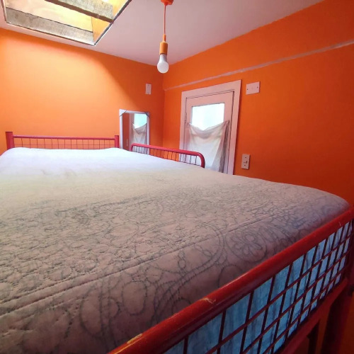 Hotel Gatos De Campo Tiernos Y Traviesos - Santiago (Chile)