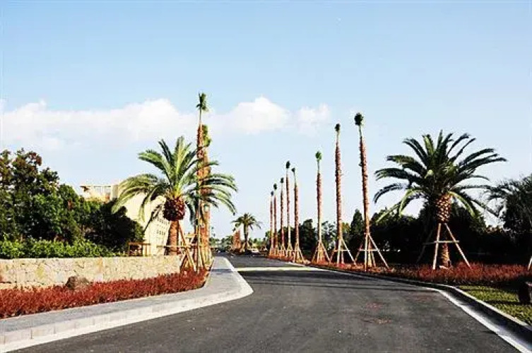 Seogwipo Worldcup Resort - Jeju-do