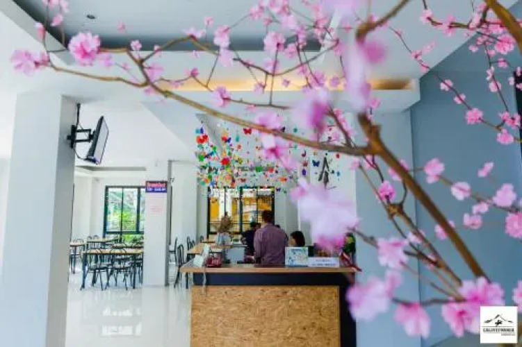 Calivefornia2016 - Mueang Chiang Rai