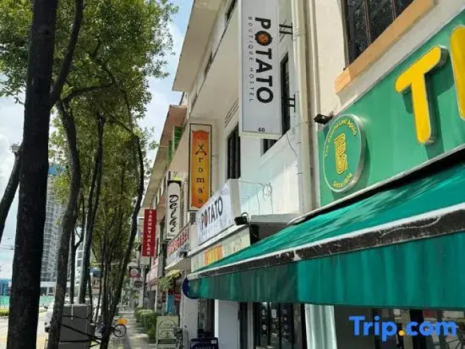 Potato Boutique Hostel - Newton