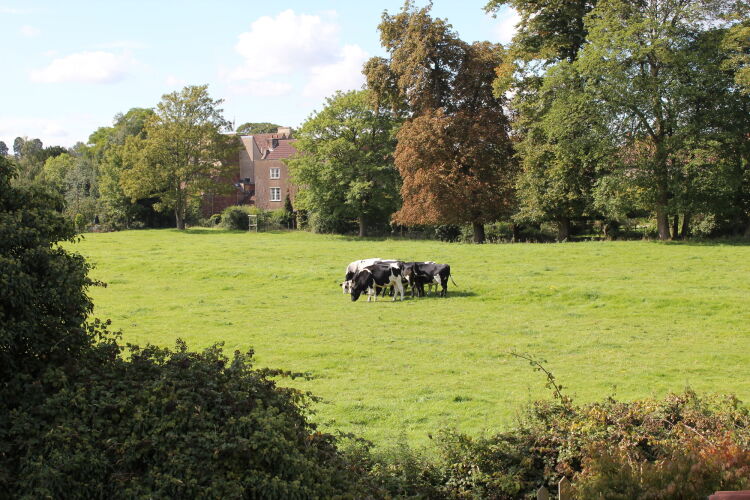 The Coach House - Bristol