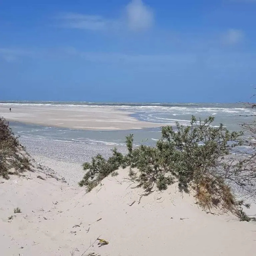 Un P'tit Nid Au Paradis - Le Crotoy