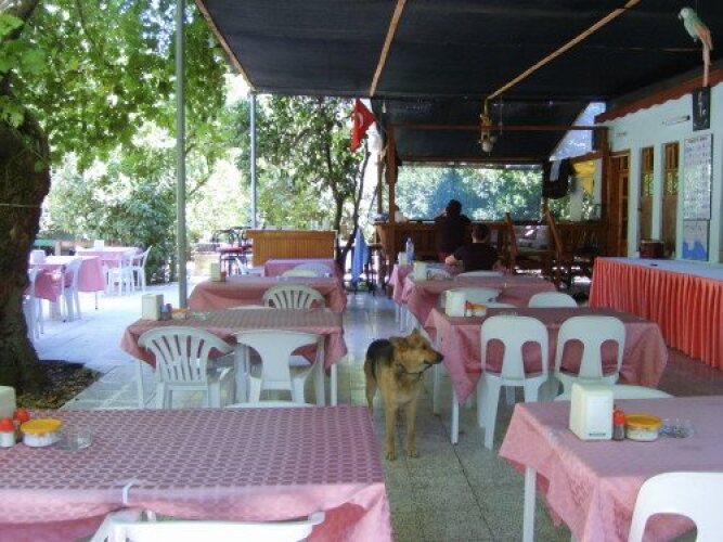 Adrasan Gelidonya Hotel - Kumluca