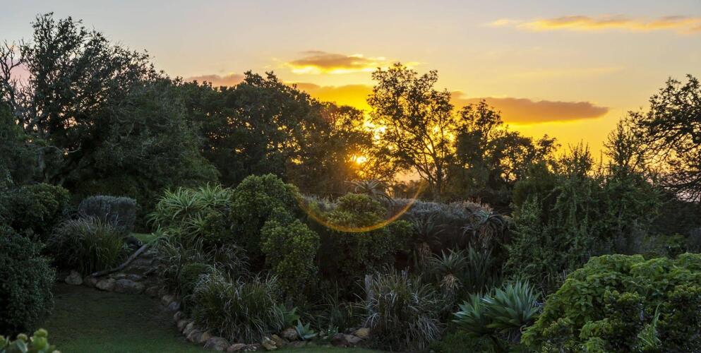 Elephants Lodge - Bellevue Forest Reserve - Western Cape