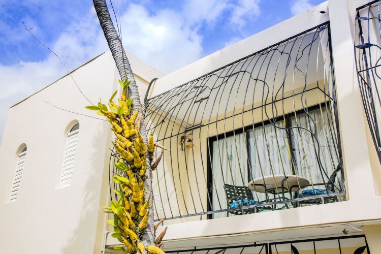 Pirate's Inn - Worthing