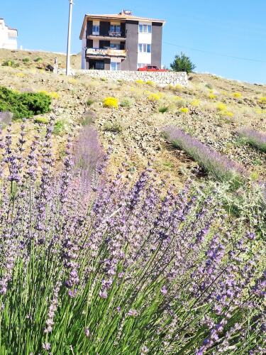 Beyaz Adalar Atlihan Apart Otel - Salda