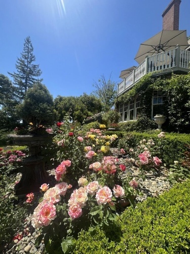 The Inn On Knowles Hill - Sonora, CA