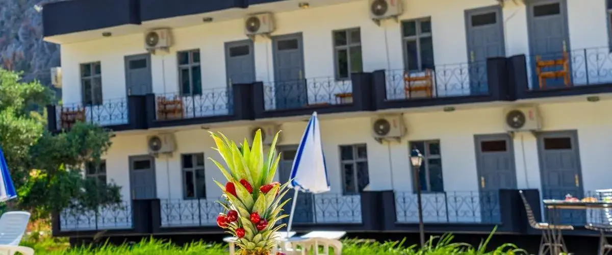 Patara Gate Boutique Hotel - Gelemiş