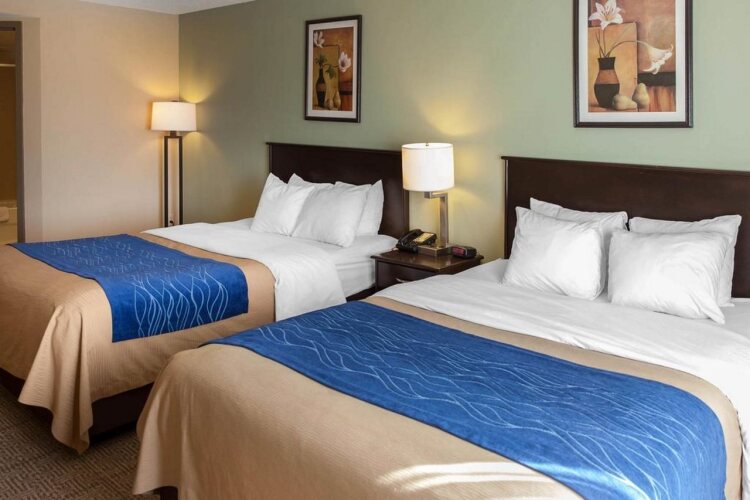 Comfort Inn Near Quantico Main Gate North - Manassas, VA