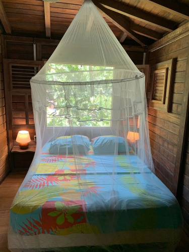 Ecolodge Martinique - Fort-de-France