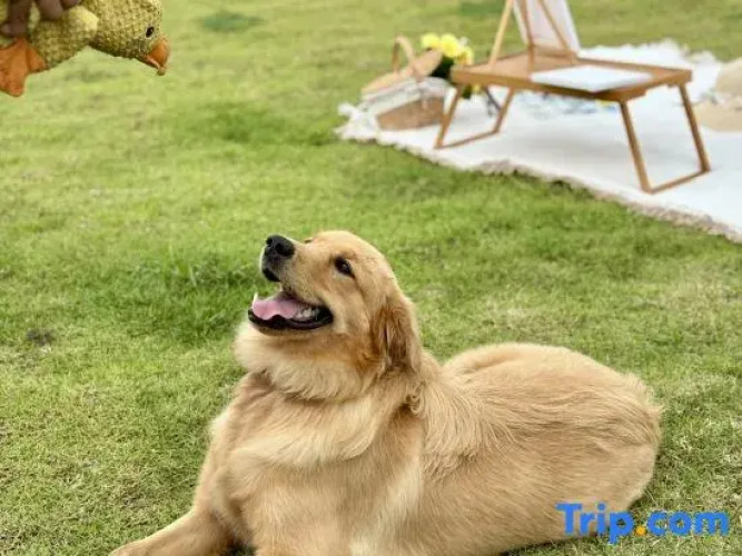 Paradise Resort & Cafe - Chiang Dao