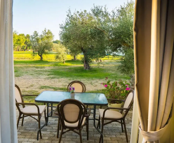 Olive Trees Garden - Cephalonia